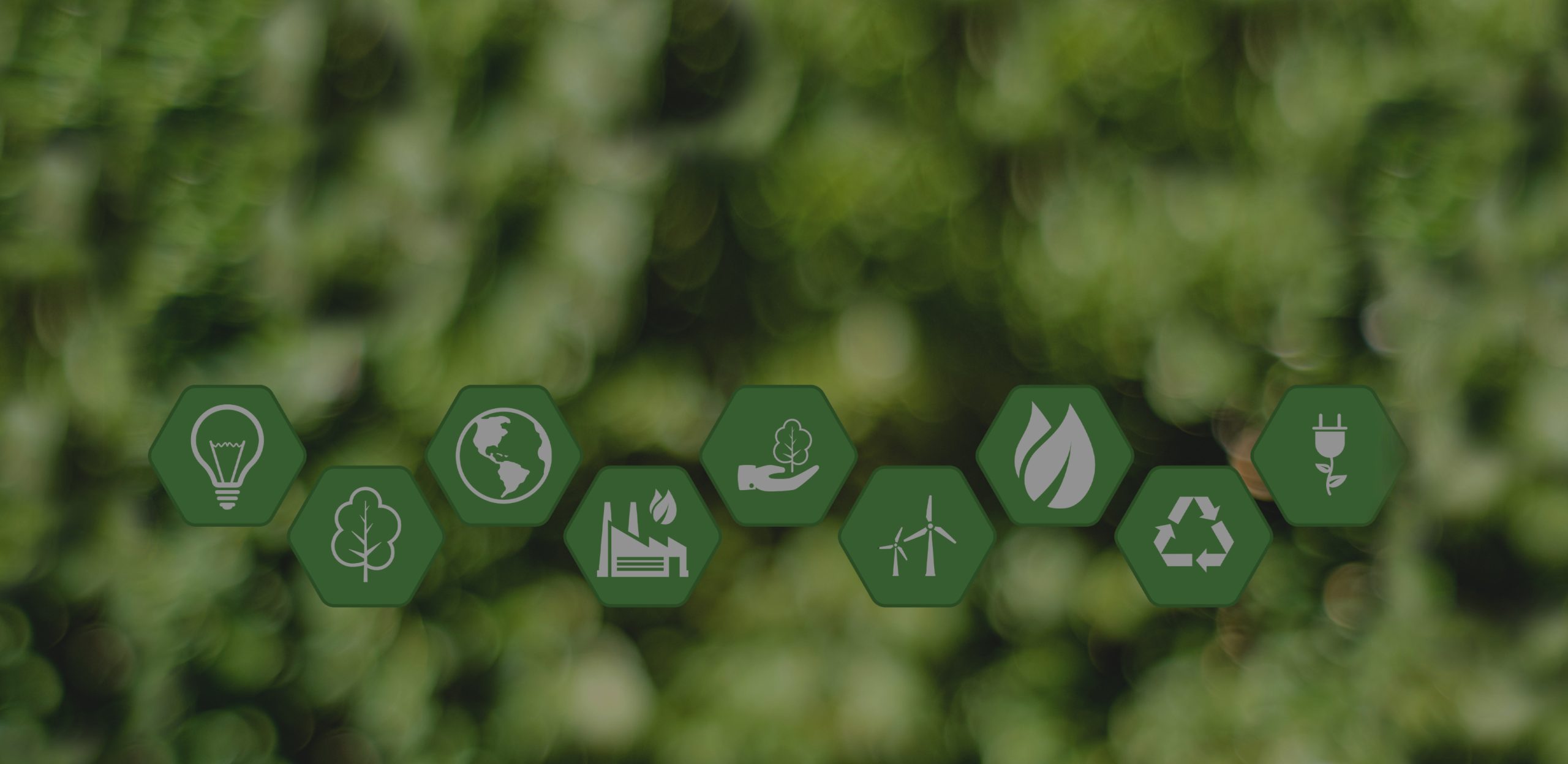 Home - ESG Safety Management LLC